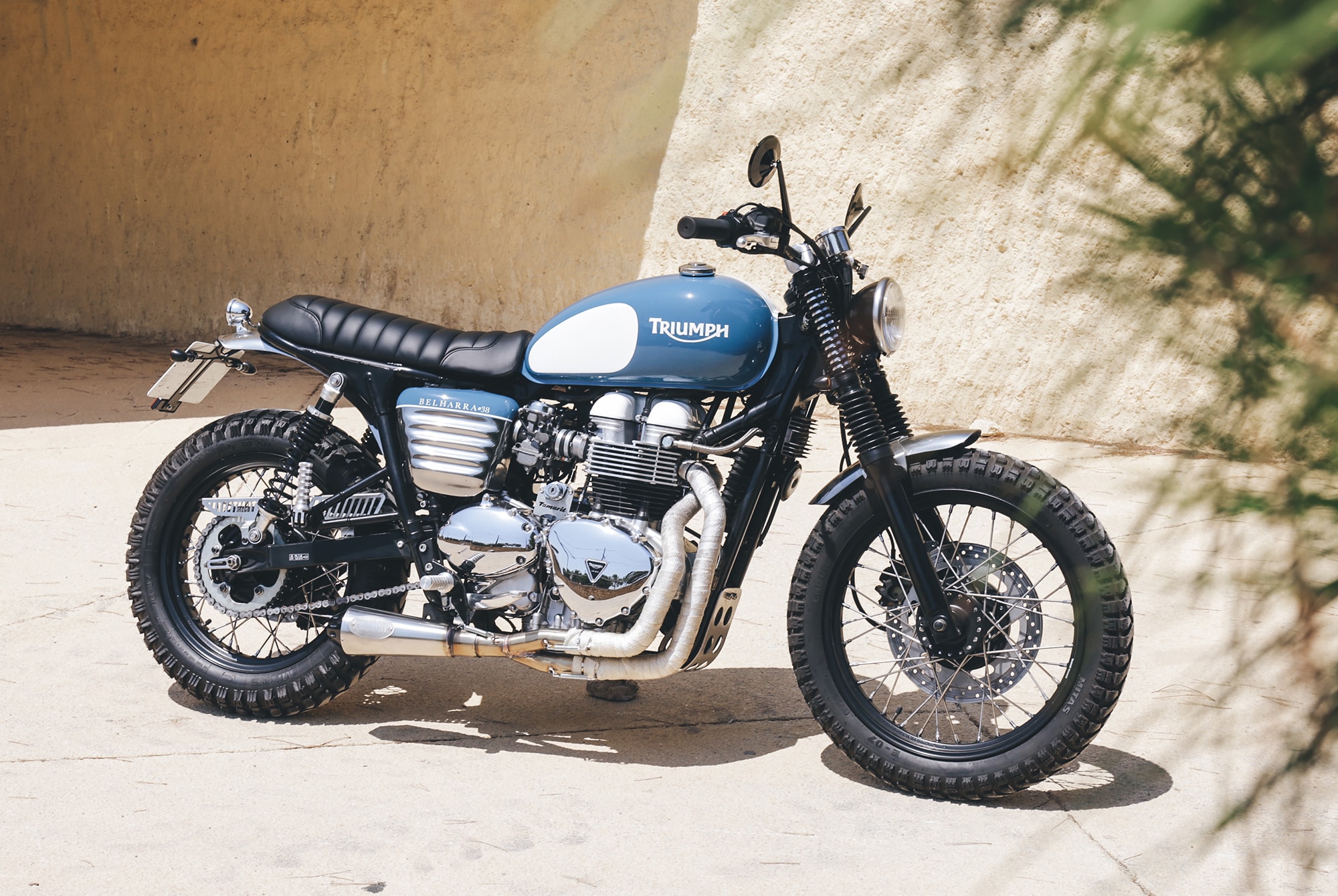 Triumph Scrambler Frame Loop | Reviewmotors.co